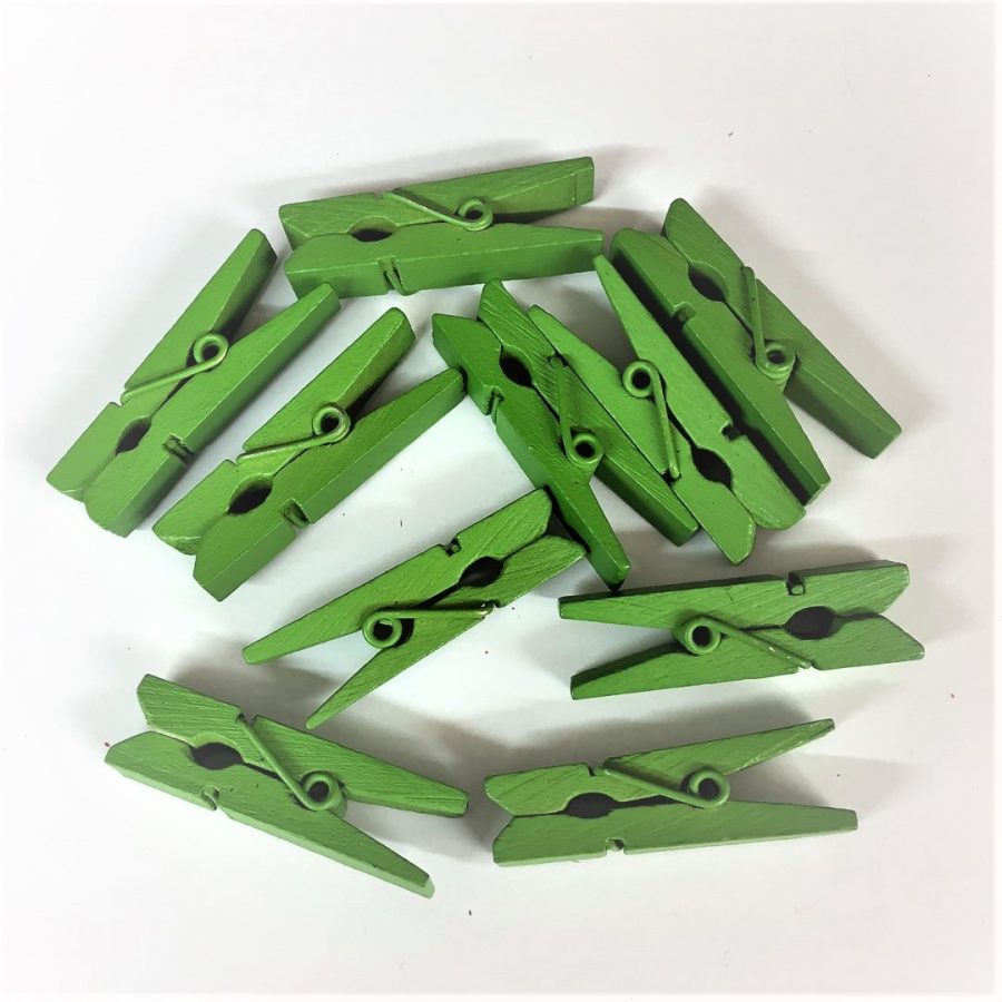 Wooden Mini Pegs 35mm in length 10mm thick - Green Colour | Pony Beads ...